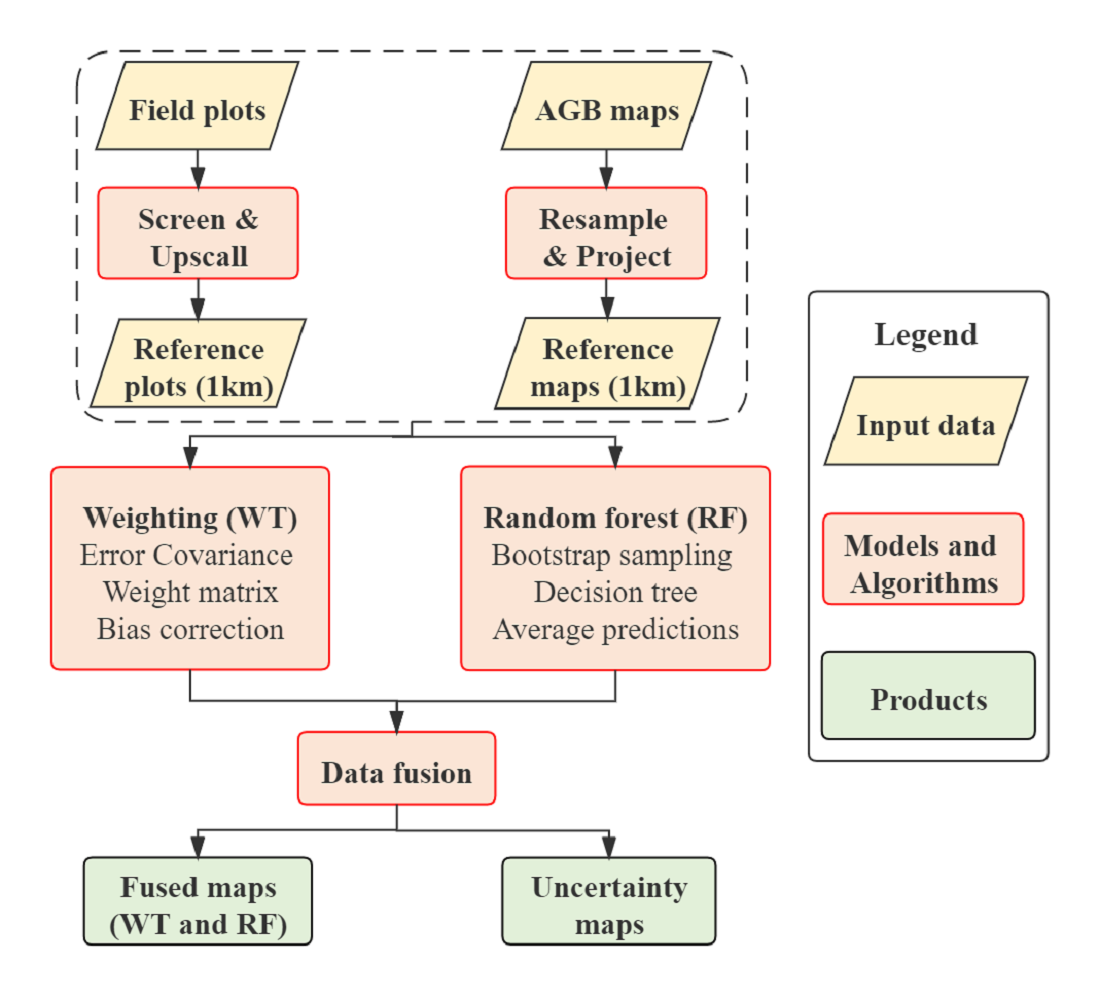 Remote Sensing | Free Full-Text | New Forest Aboveground Biomass Maps ...