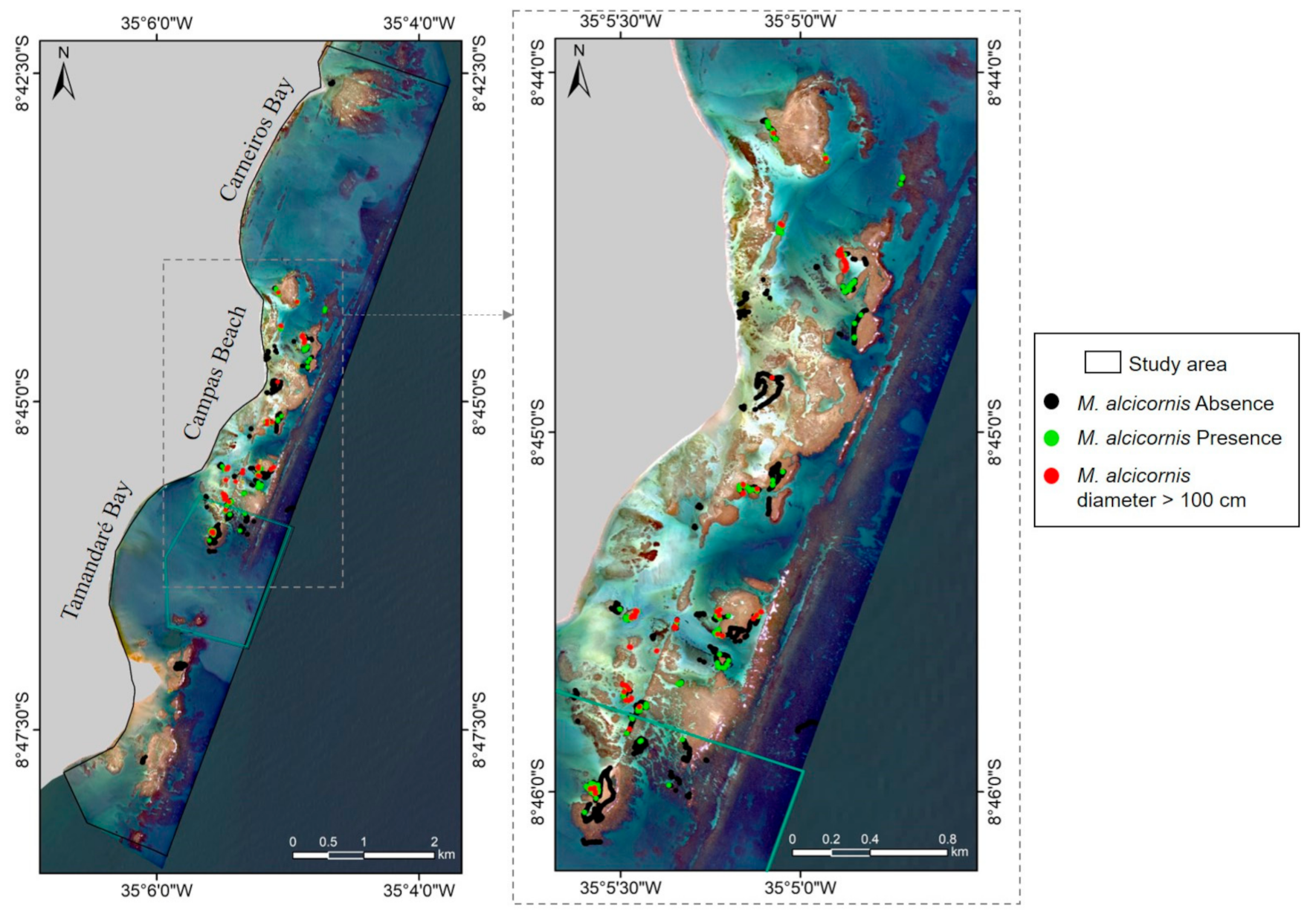 Coral Reef Mapping with Remote Sensing and Machine Learning: A Nurture and Nature Analysis in ...