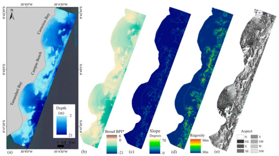 Coral Reef Mapping with Remote Sensing and Machine Learning: A Nurture ...