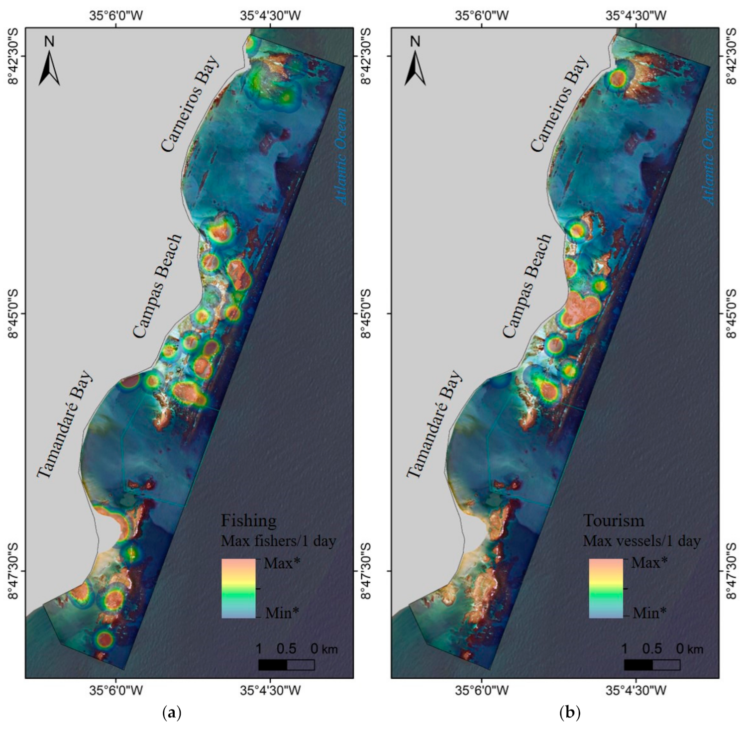 Coral Reef Mapping with Remote Sensing and Machine Learning: A Nurture and Nature Analysis in ...