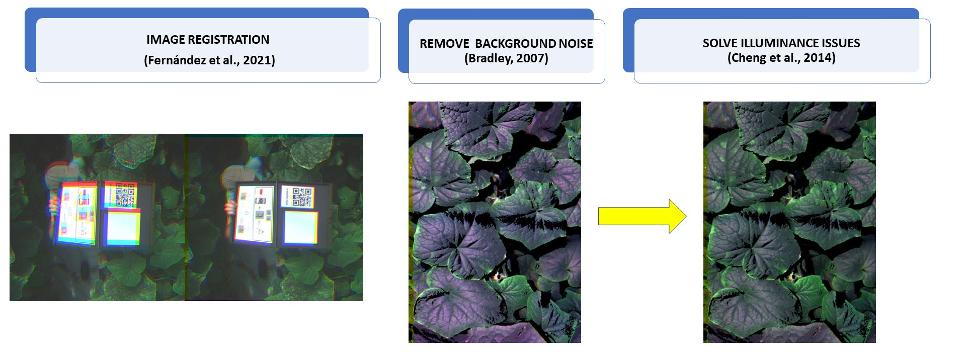 Remote Sensing | Free Full-Text | Detecting Infected Cucumber Plants ...
