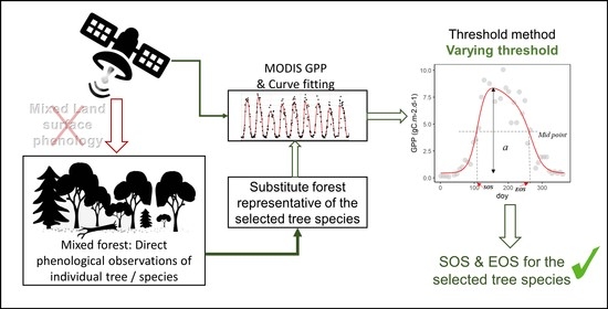 Remote Sensing | Free Full-Text | Empirical Approach for Modelling Tree ...