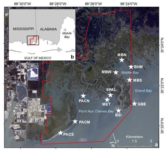Coastal Wetland Shoreline Change Monitoring: A Comparison of Shorelines ...