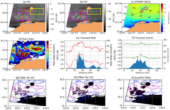 Automated Rain Detection by Dual-Polarization Sentinel-1 Data