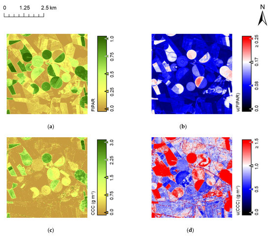 Fiducial Reference Measurements for Vegetation Bio-Geophysical ...