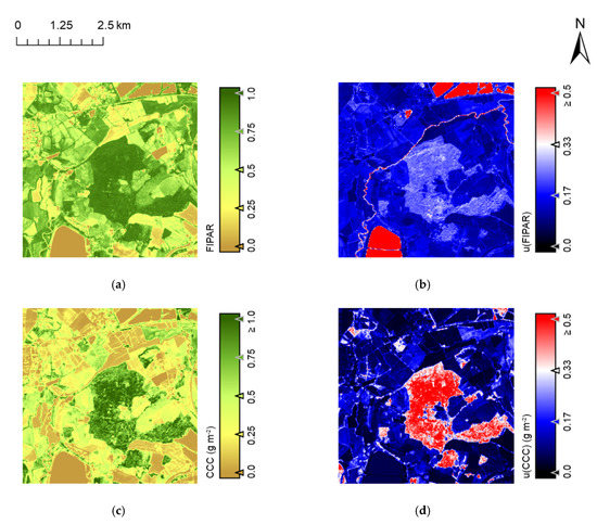 Fiducial Reference Measurements for Vegetation Bio-Geophysical ...