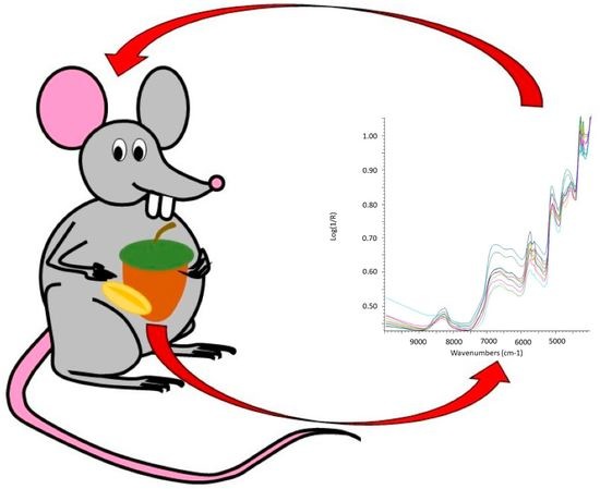 Remote Sensing | Free Full-Text | Use of NIRS in Wild Rodents’ Research ...