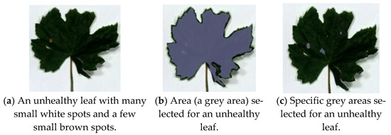 Identifying Individual Nutrient Deficiencies of Grapevine Leaves Using ...
