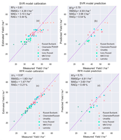 Improving Potato Yield Prediction by Combining Cultivar Information and ...