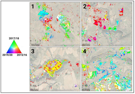 Using Sentinel-1 and Sentinel-2 Time Series for Slangbos Mapping in the ...