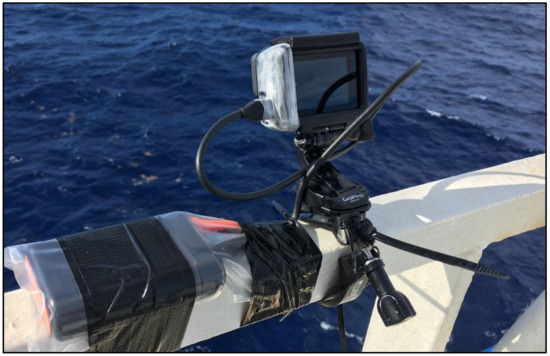Quantifying Floating Plastic Debris at Sea Using Vessel-Based Optical ...