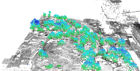 Remote Sensing | Free Full-Text | Tree Extraction from Airborne Laser ...