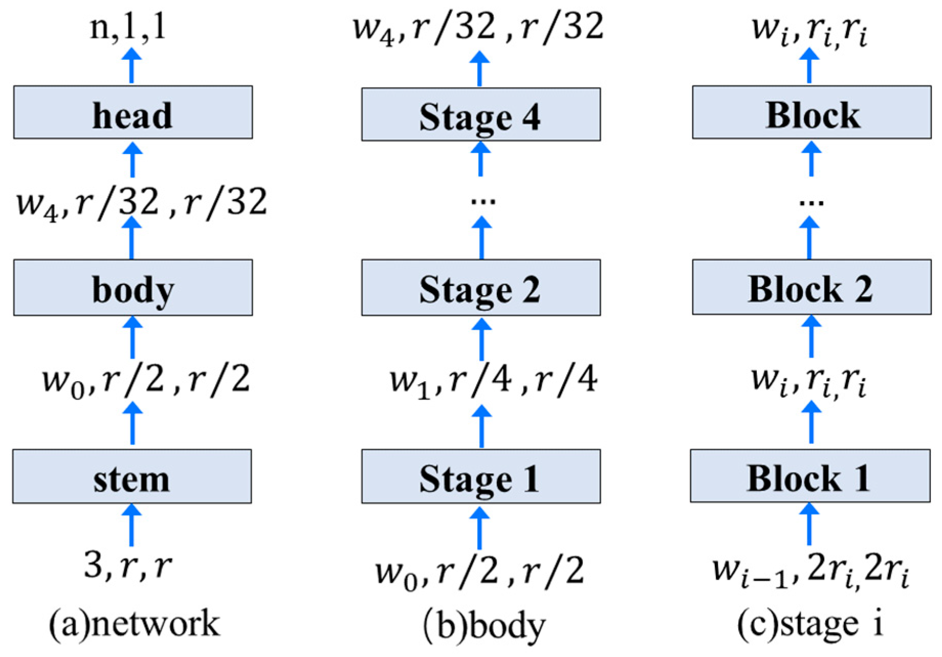 Cross-Domain Scene Classification Based on a Spatial Generalized Neural Architecture Search for ...
