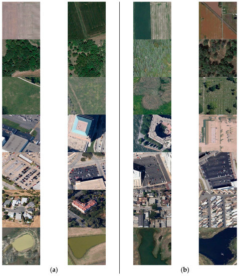 Cross-Domain Scene Classification Based on a Spatial Generalized Neural Architecture Search for ...