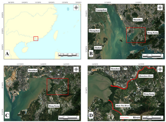Changes in Nutrient Concentrations in Shenzhen Bay Detected Using ...