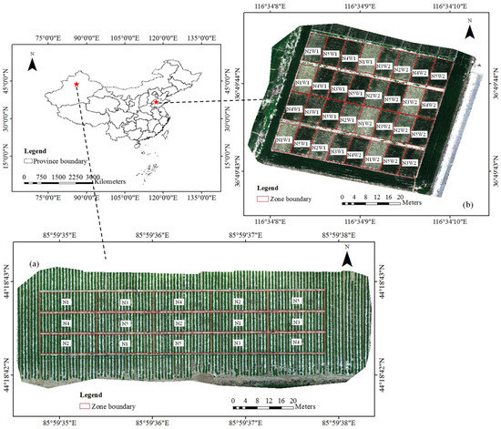 A New Method for Crop Row Detection Using Unmanned Aerial Vehicle Images