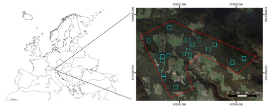 Testing The Height Variation Hypothesis With The R Rasterdiv Package For Tree Species Diversity