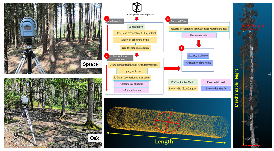 Remote Sensing | Free Full-Text | Reliable Estimates of Merchantable ...
