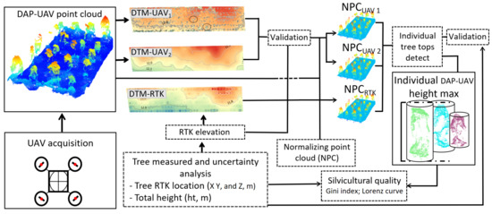 Remote Sensing | Free Full-Text | Individual Tree Detection and ...