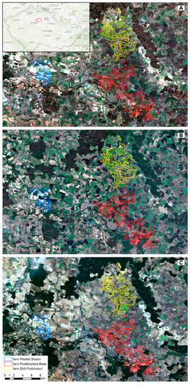 Remote Sensing | Free Full-Text | Prototyping a Generic Algorithm for Crop Parameter Retrieval ...