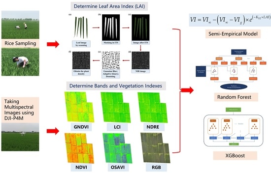 Remote Sensing | Free Full-Text | Simulating the Leaf Area Index of ...