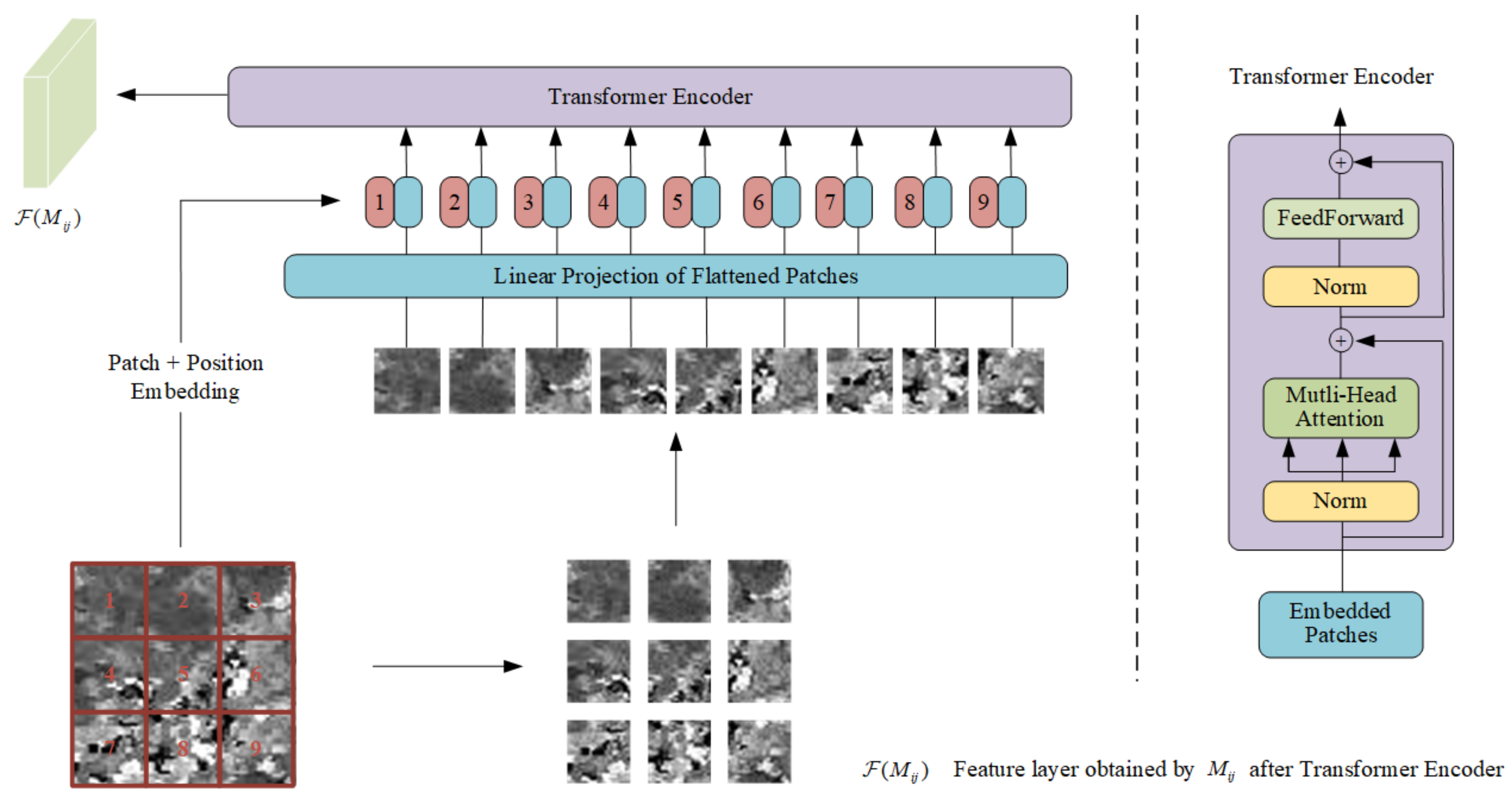 MSNet: A Multi-Stream Fusion Network for Remote Sensing Spatiotemporal Fusion Based on ...