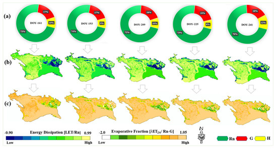 Modeling the Near-Surface Energies and Water Vapor Fluxes Behavior in ...