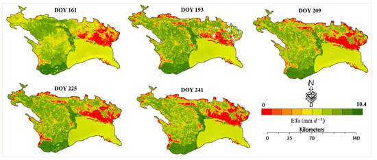 Modeling the Near-Surface Energies and Water Vapor Fluxes Behavior in ...