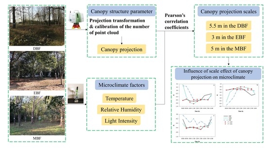 Remote Sensing | Free Full-Text | Influence of Scale Effect of Canopy ...