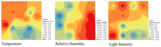Influence of Scale Effect of Canopy Projection on Understory ...