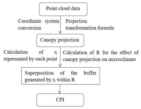 Influence of Scale Effect of Canopy Projection on Understory ...