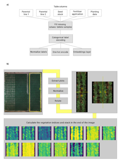 Maize Yield Prediction at an Early Developmental Stage Using ...