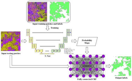 Paddy Rice Mapping In Thailand Using Time Series Sentinel 1 Data And Deep Learning Model