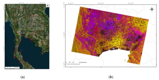 Paddy Rice Mapping in Thailand Using Time-Series Sentinel-1 Data and Deep Learning Model
