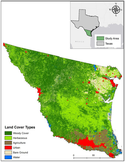 Landscape Structure of Woody Cover Patches for Endangered Ocelots in ...
