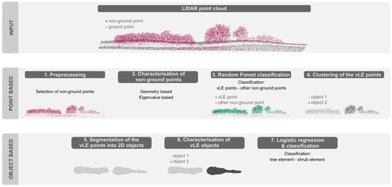 Remote Sensing | Free Full-Text | A Workflow to Extract the Geometry ...