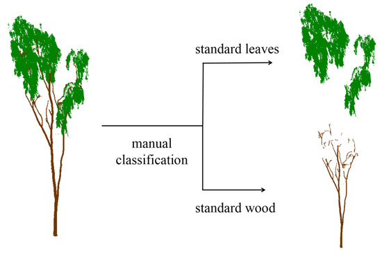 Wood–Leaf Classification of Tree Point Cloud Based on Intensity and ...