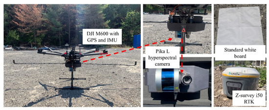 Three-Dimensional Convolutional Neural Network Model for Early Detection of Pine Wilt Disease ...