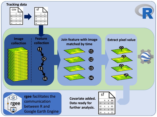 Enhancing Animal Movement Analyses: Spatiotemporal Matching of Animal ...