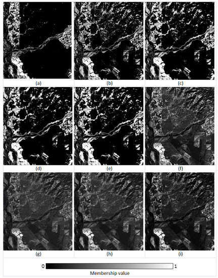 Exploring Fuzzy Local Spatial Information Algorithms for Remote Sensing Image Classification