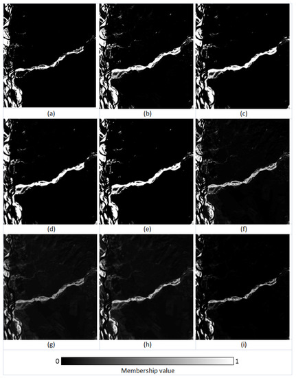 Remote Sensing Free Full Text Exploring Fuzzy Local Spatial Information Algorithms For