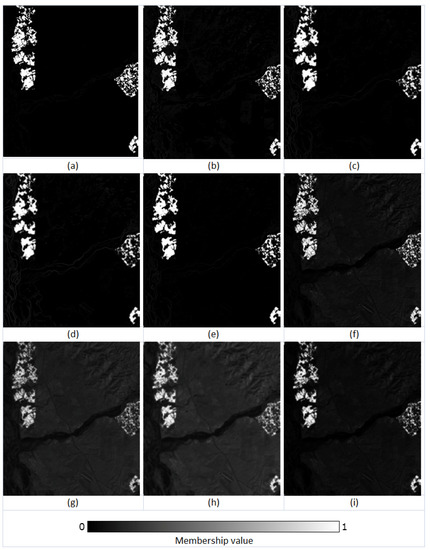 Exploring Fuzzy Local Spatial Information Algorithms For Remote Sensing Image Classification