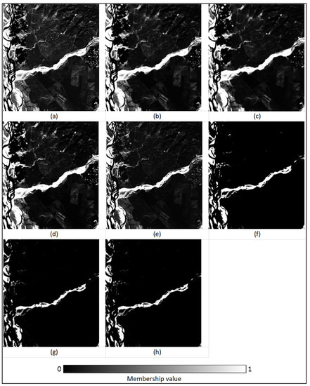 Exploring Fuzzy Local Spatial Information Algorithms for Remote Sensing Image Classification
