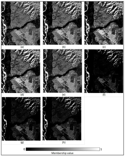 Exploring Fuzzy Local Spatial Information Algorithms for Remote Sensing Image Classification