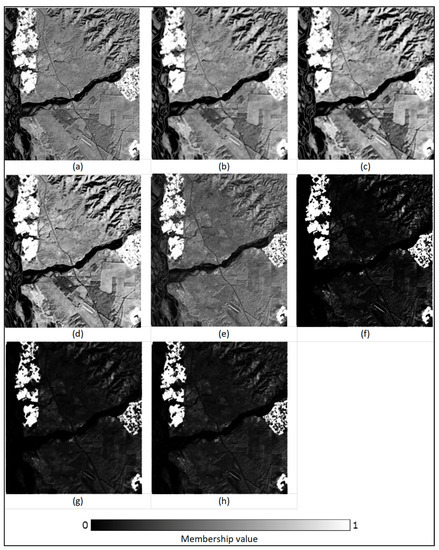 Exploring Fuzzy Local Spatial Information Algorithms For Remote Sensing Image Classification