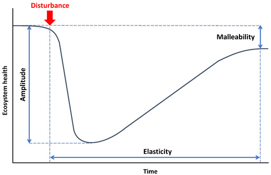 Monitoring Forest Resilience Dynamics from Very High-Resolution ...