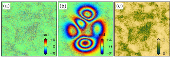 An Improved Phase Unwrapping Method Based on Hierarchical Networking and Constrained Adjustment