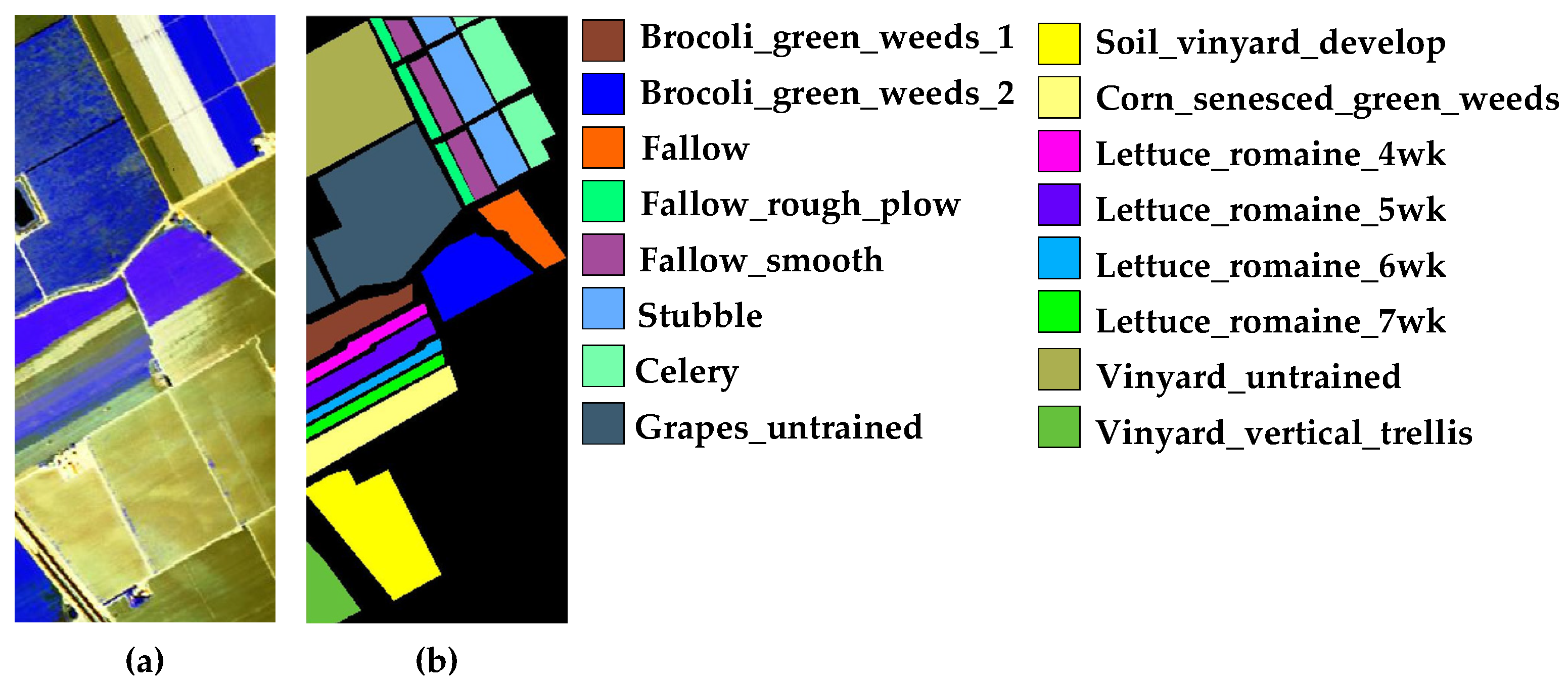 Remote Sensing | Free Full-Text | Hyperspectral Image Classification Based on Two-Branch ...