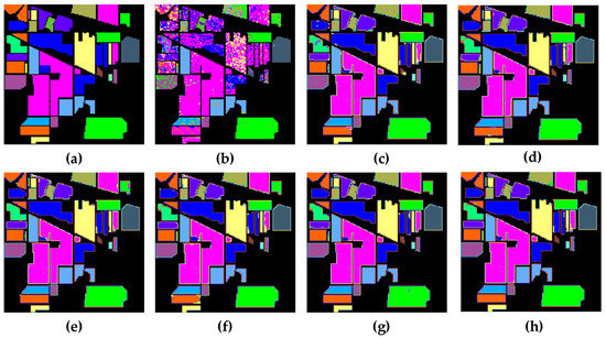 Remote Sensing | Free Full-Text | Hyperspectral Image Classification Based on Two-Branch ...