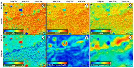 Forest Vertical Structure Mapping Using Two-Seasonal Optic Images and LiDAR DSM Acquired from ...